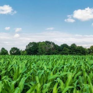 ExtendAg | Intelligence Software for Crop Processors