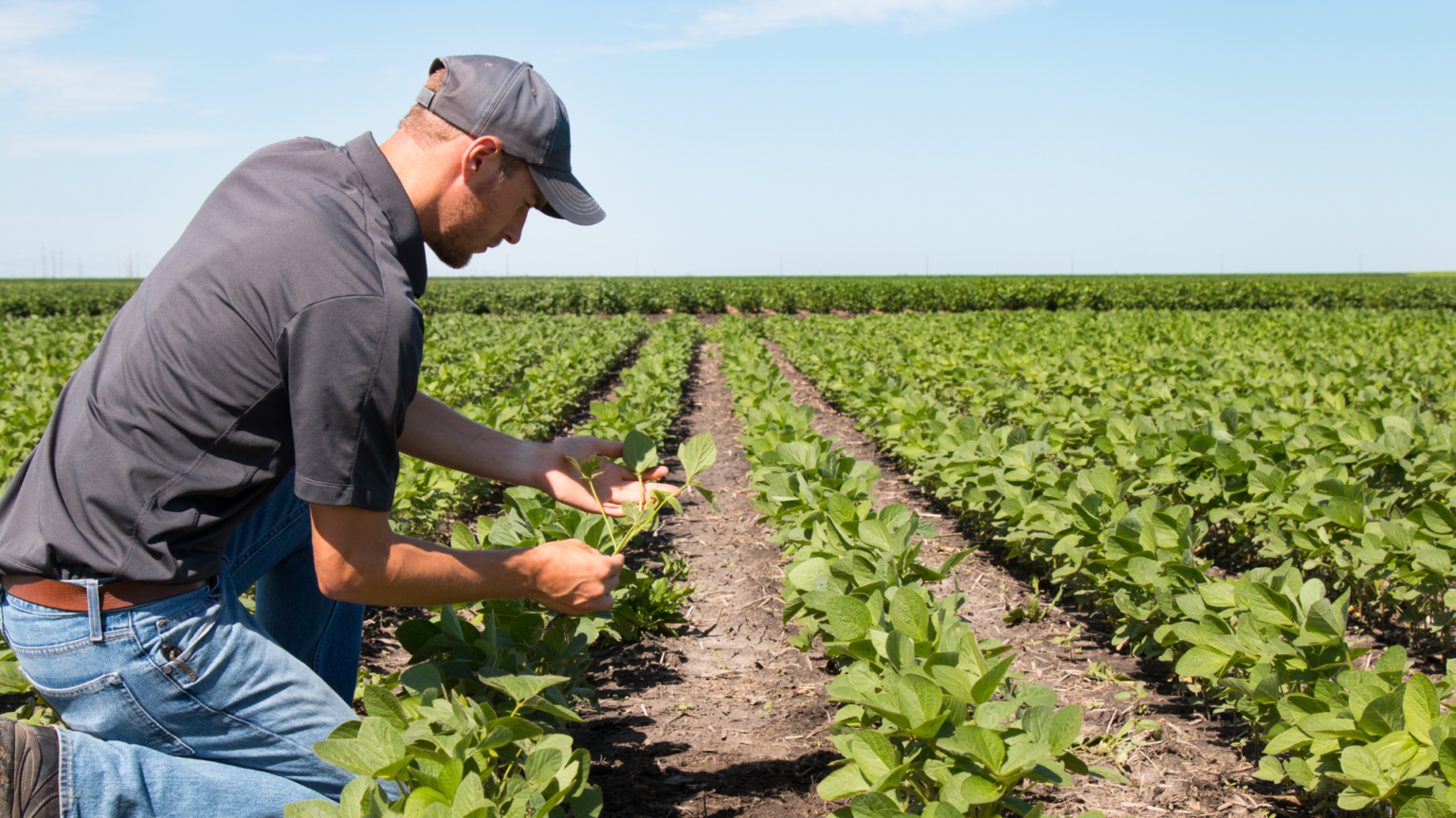ExtendAg | Intelligence Software for Crop Processors