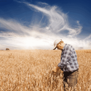 ExtendAg | Intelligence Software for Crop Processors