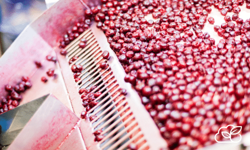 Operational Intelligence in Fruit Processing Plants